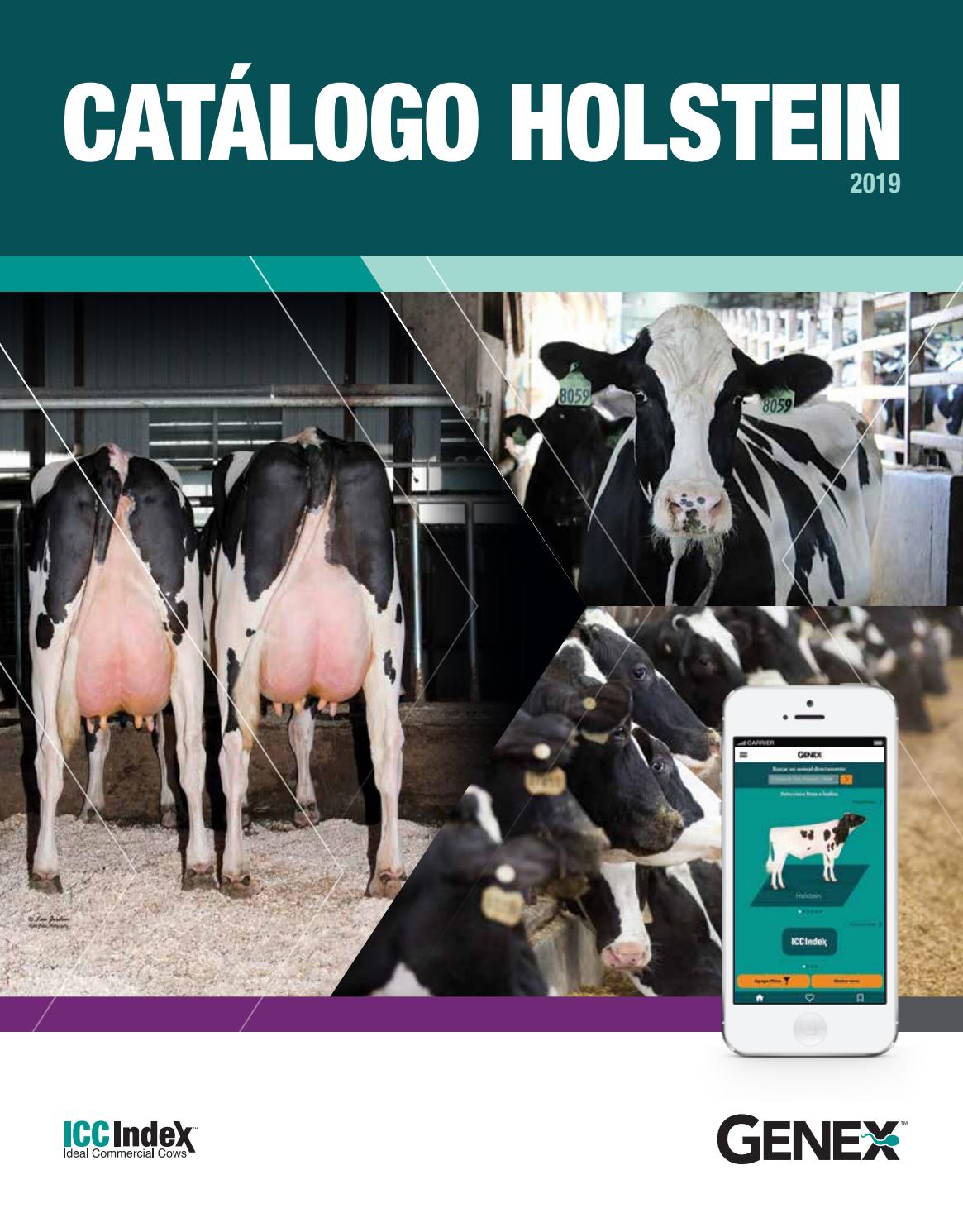 2019 Catálogo Holstein by GENEX - Issuu