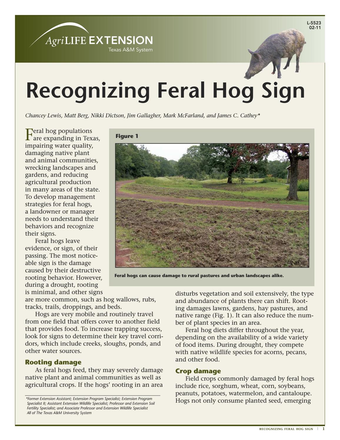 Recognizing Feral Hog Sign by Texas A&M Natural Resources Institute - Issuu