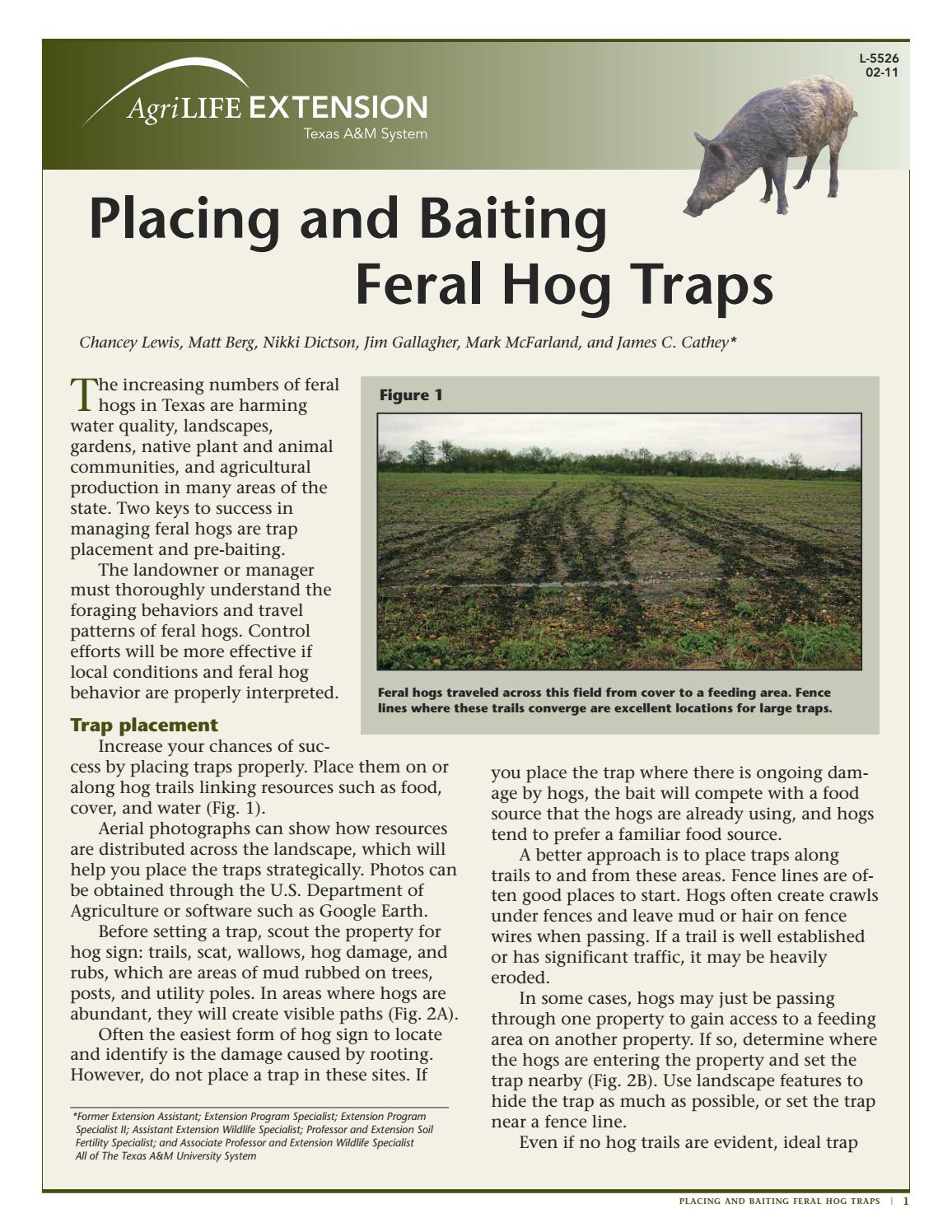 Placing and Baiting Feral Hog Traps by Texas A&M Natural Resources ...
