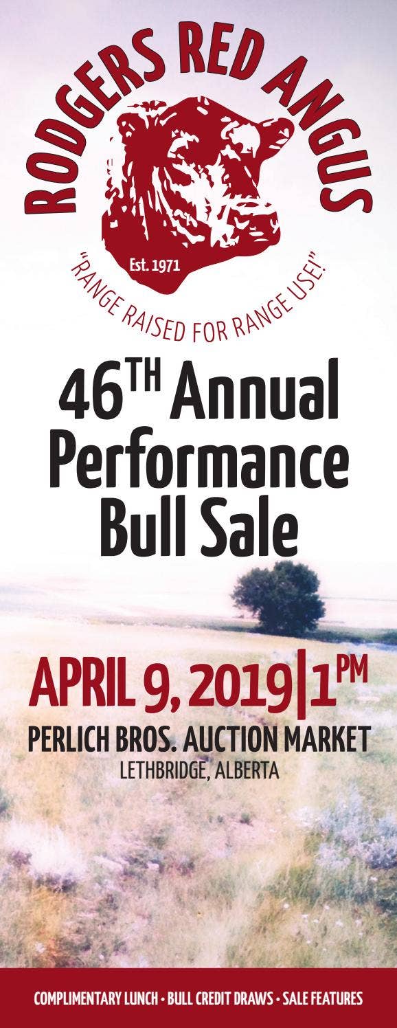 Rodgers Red Angus Bull Sale 2019 by Everything Angus - Issuu