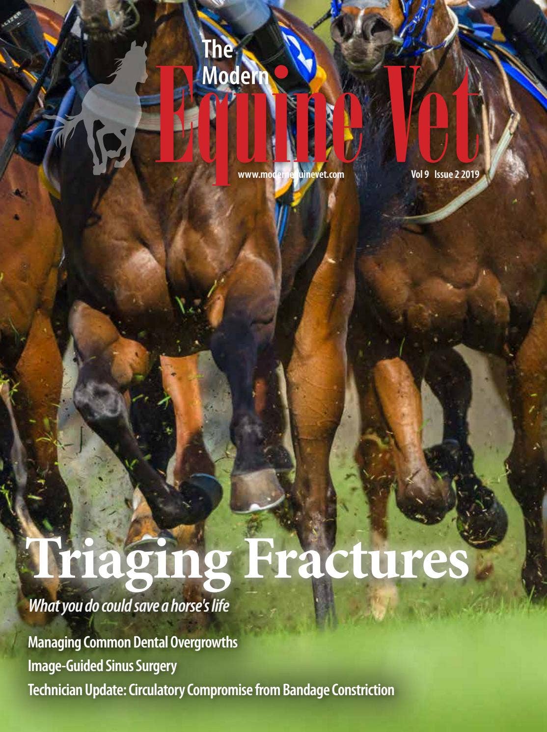 The Modern Equine Vet February 2019 by The Modern Equine Vet - Issuu