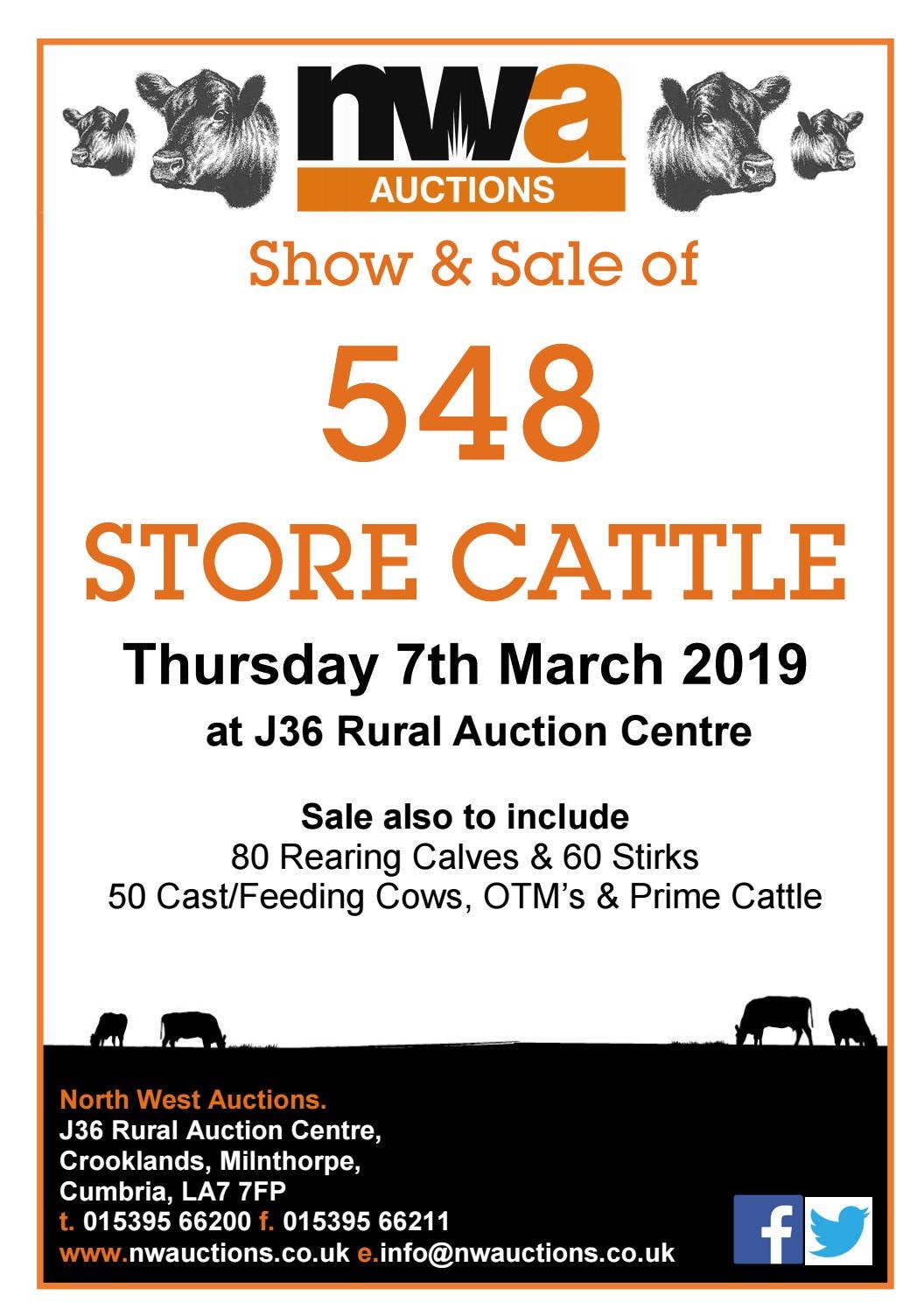 J36 Store Cattle by North West Auctions - Issuu
