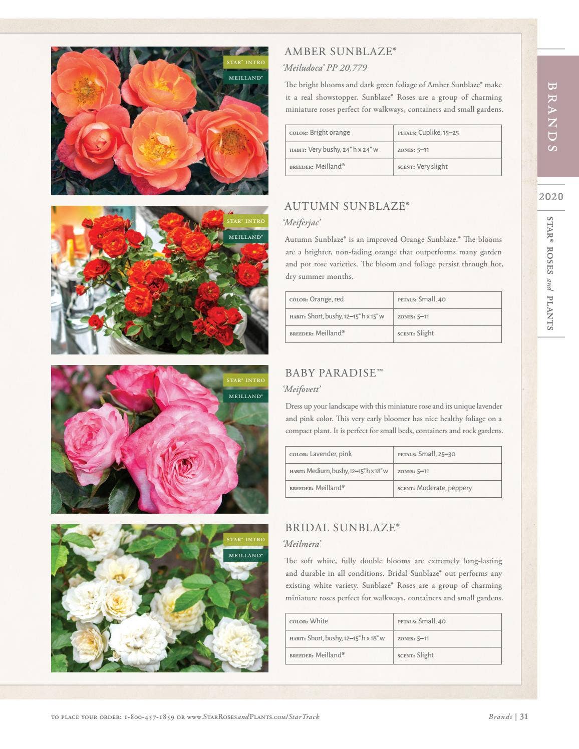 2020 Star® Roses and Plants Catalog by Star® Roses and Plants - Issuu