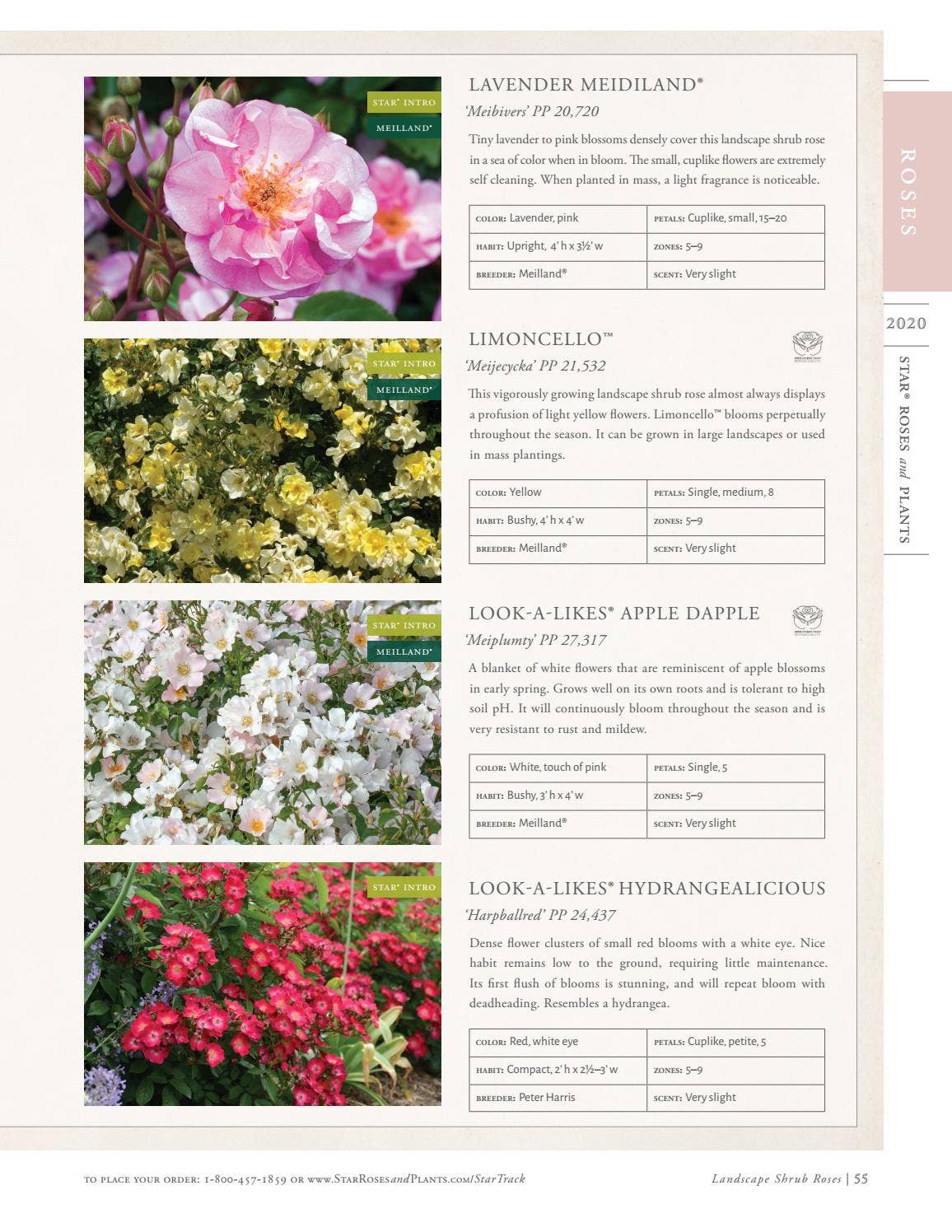 2020 Star® Roses and Plants Catalog by Star® Roses and Plants - Issuu