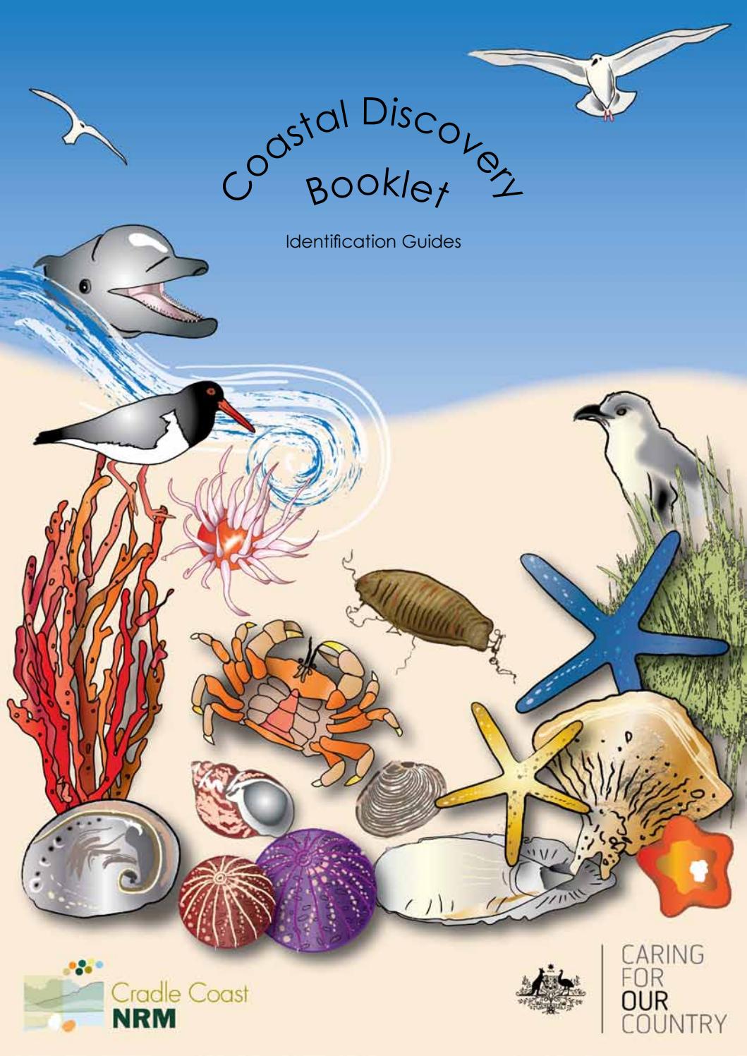 Coastal Discovery Booklet - Identification Guide by Cradle Coast ...