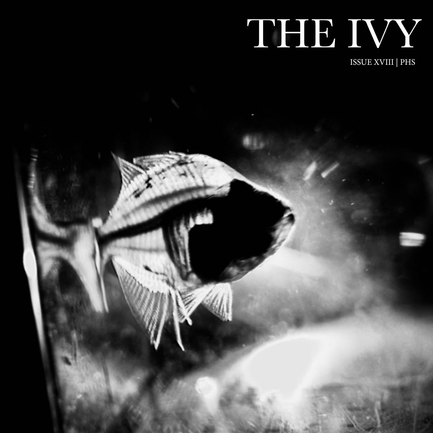 The Ivy | #18 | January 2019 by The Ivy - Issuu