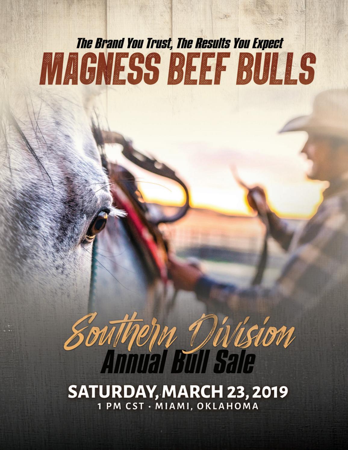 Magness Land & Cattle 2019 Southern Div. Bull Sale by Monti West Design - Issuu