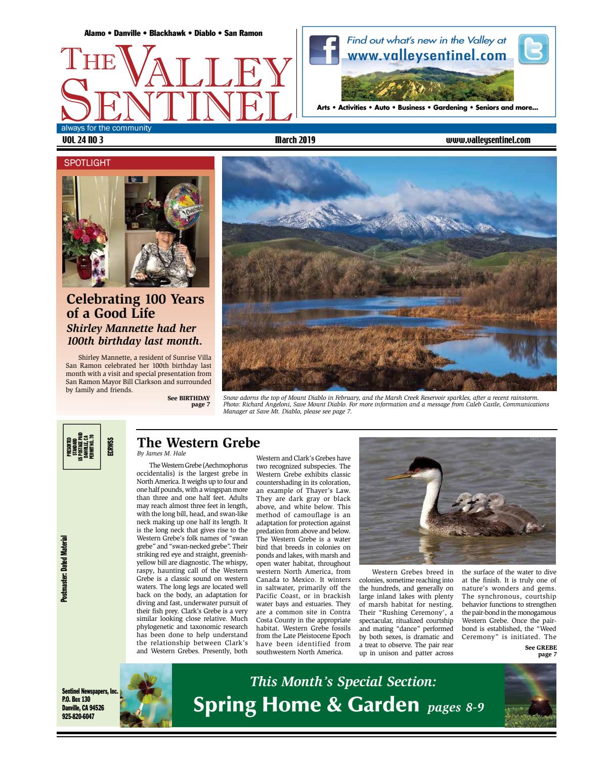 The Valley Sentinel_March 2019 by Sentinel Newspapers - Issuu