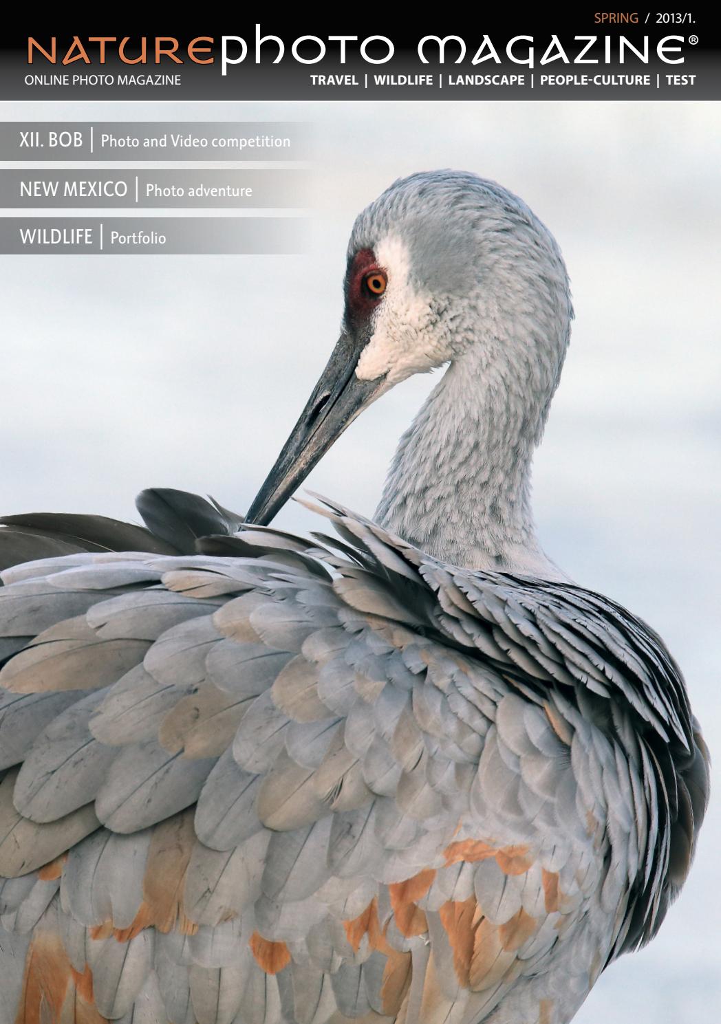 Nature Photo Magazine 2013/1 by Természetfotó Magazin - Issuu