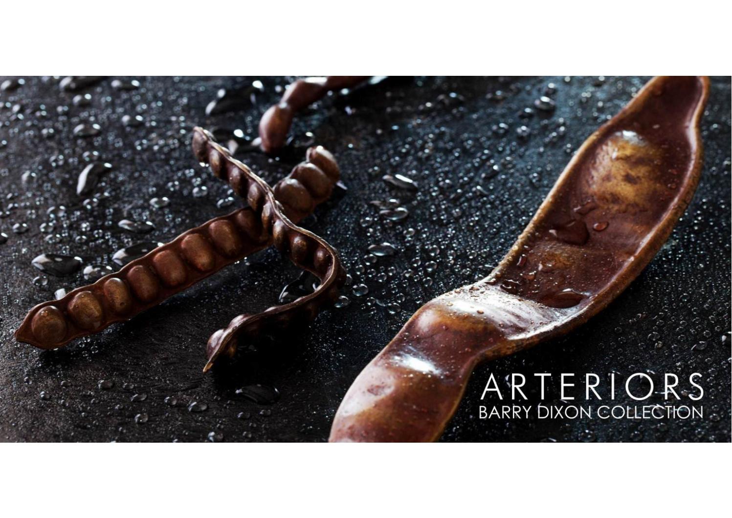Barry Dixon Collection Lookbook by Umlaut Agency - Issuu