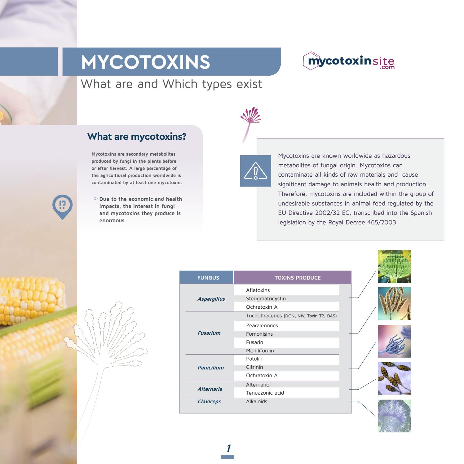 What are mycotoxins and which kind of mycotoxins exist? by agriNews - Issuu