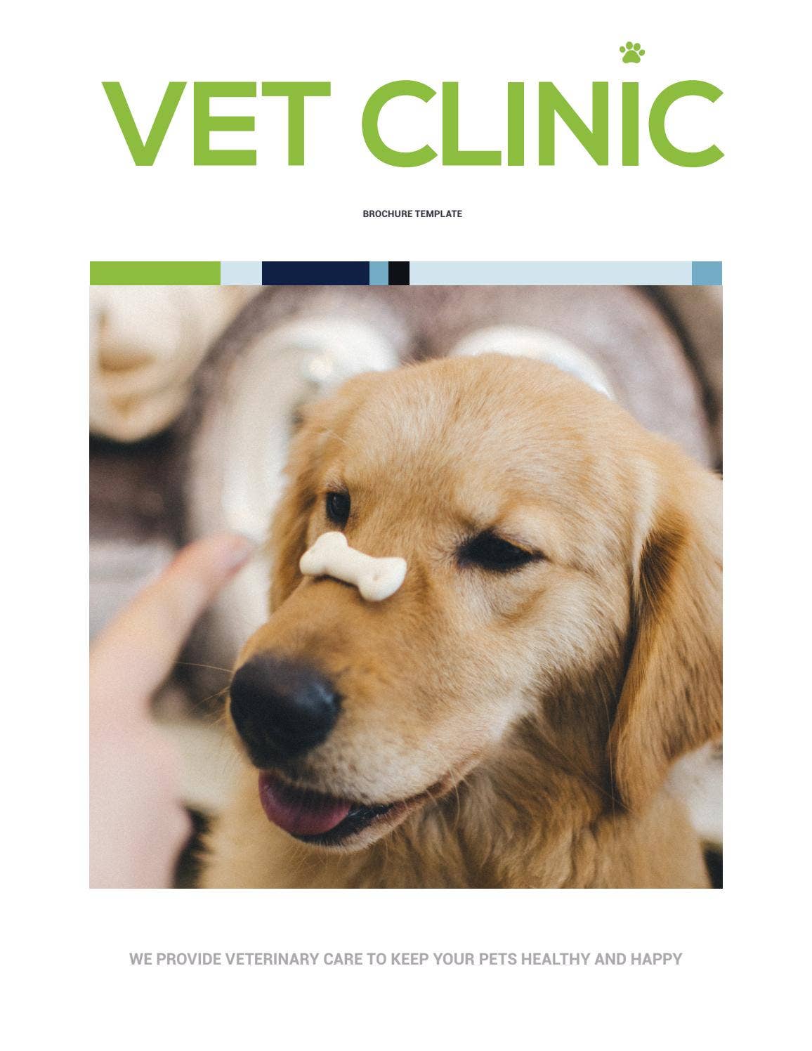 Veterinary Clinic Brochure by Refresh | Studio - Issuu