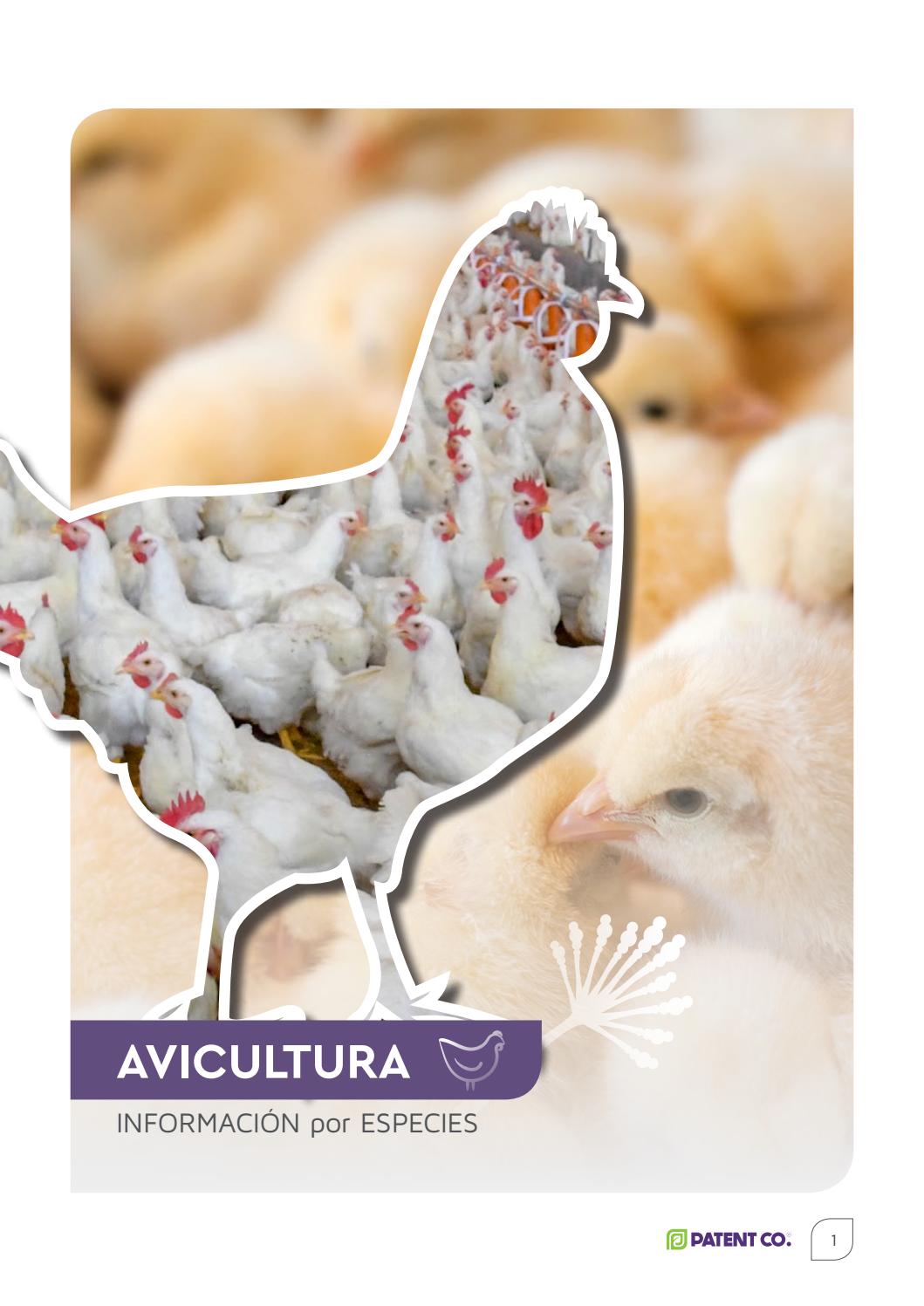 Efectos de las micotoxinas sobre las aves by agriNews - Issuu