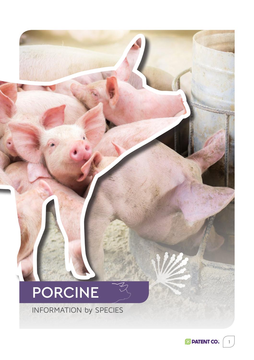 Effects of mycotoxins in Swine by agriNews - Issuu