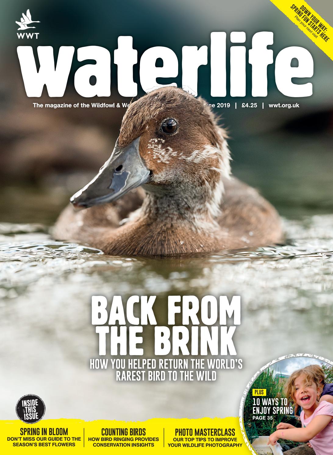 Waterlife 208 - April / June 2019 by WWT Waterlife - Issuu