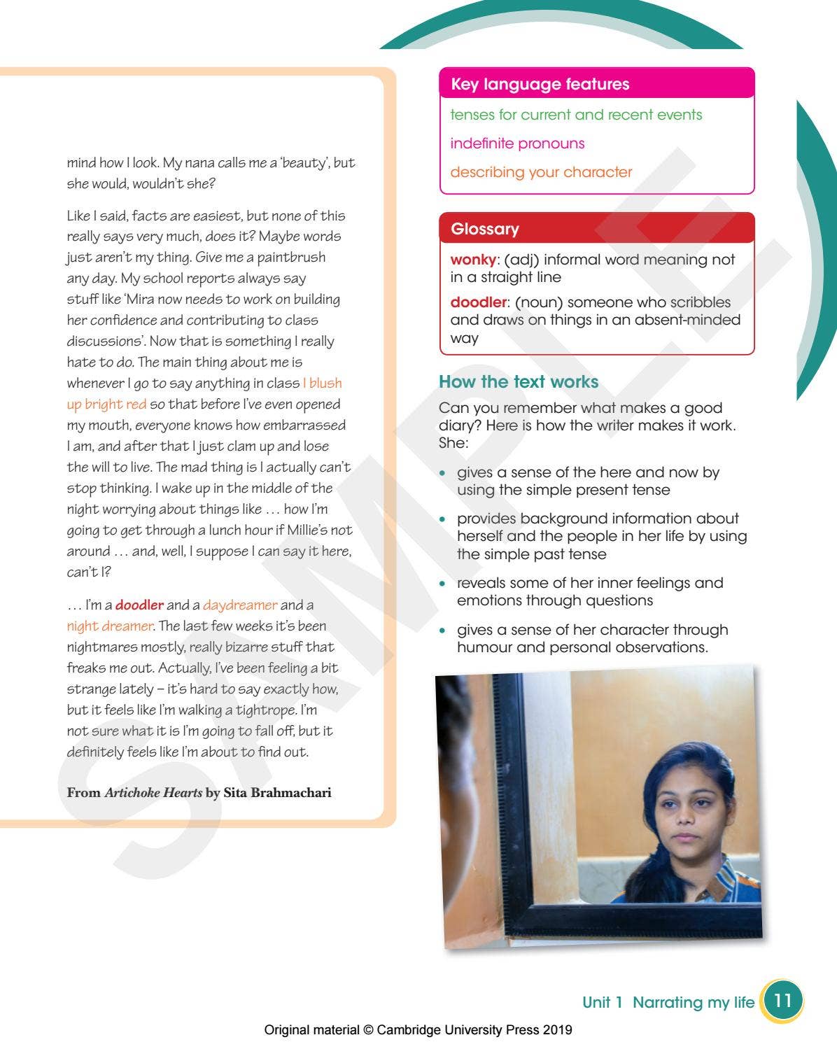 Cambridge Grammar and Writing skills Stage 7 by Cambridge International ...
