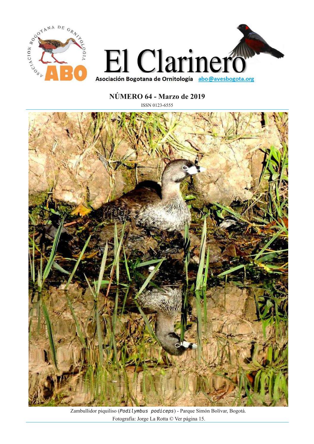 El Clarinero No 64 by ABO - Issuu