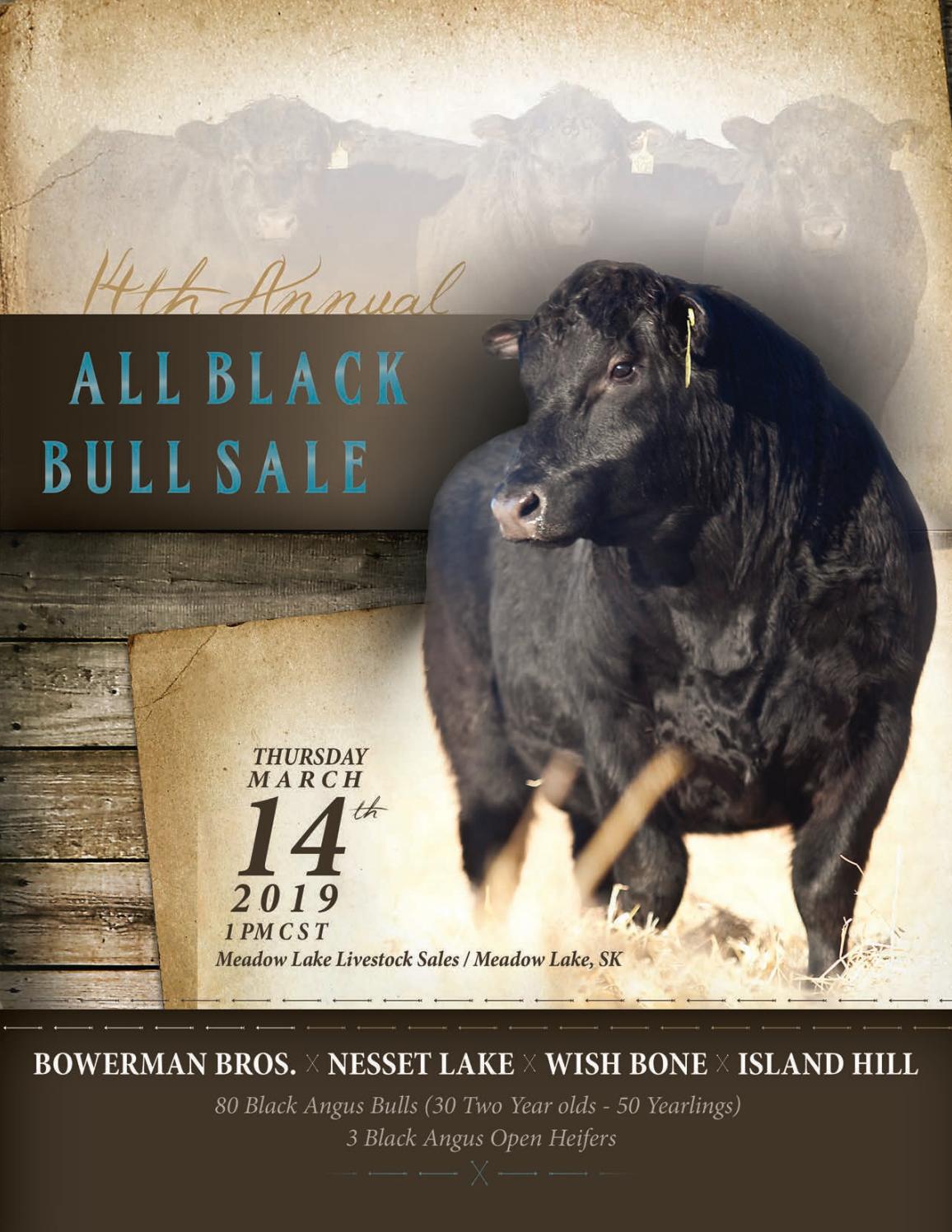 19 All Black Bull Sale by Castlerock Marketing - Issuu
