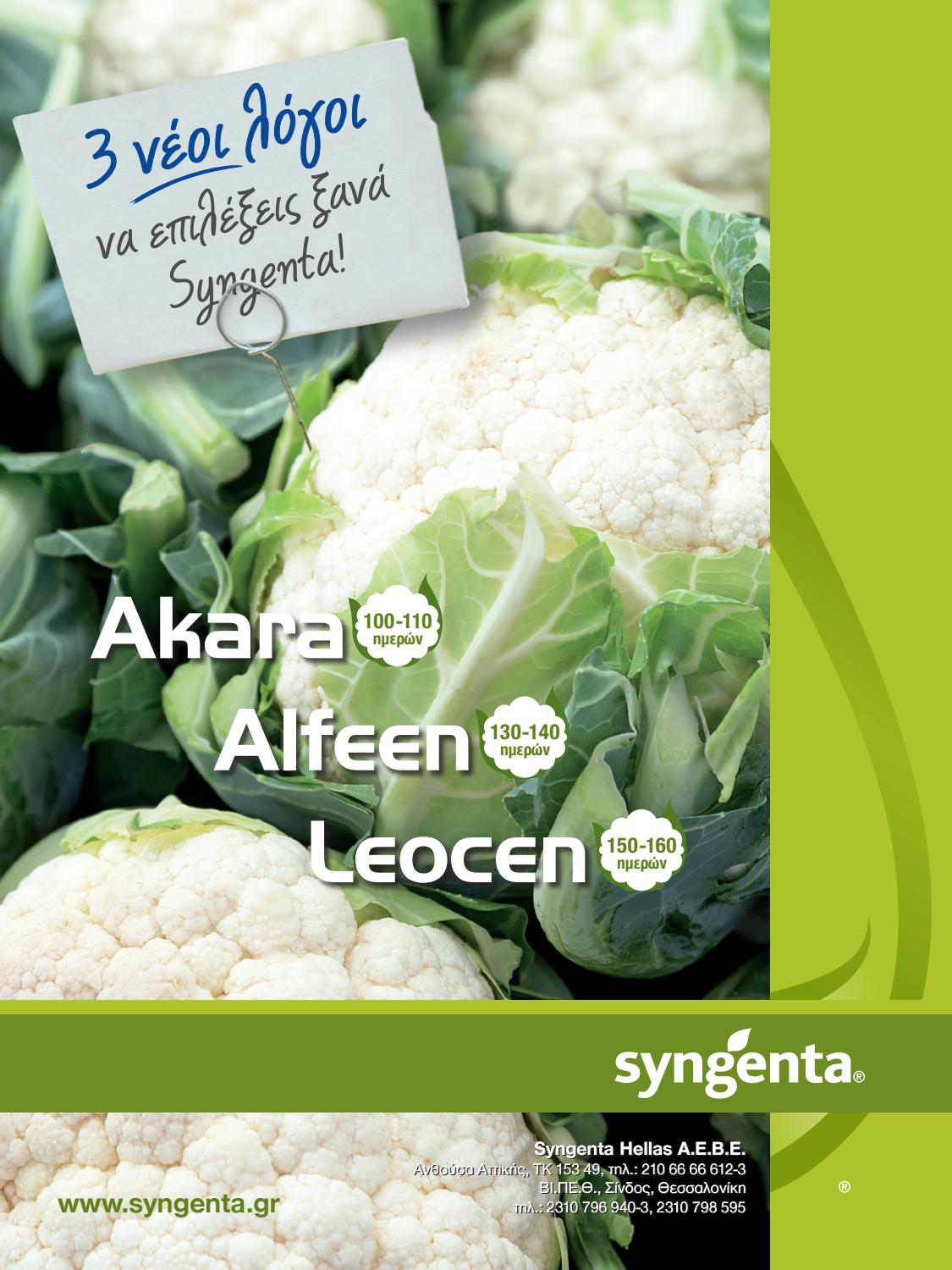 Κουνουπίδια Syngenta by Syngenta Hellas - Issuu