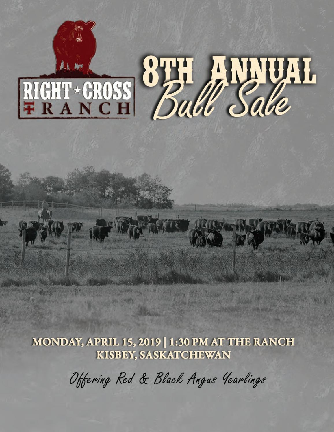 Right Cross Ranch Bull Sale by Today's Publishing Inc. - Issuu