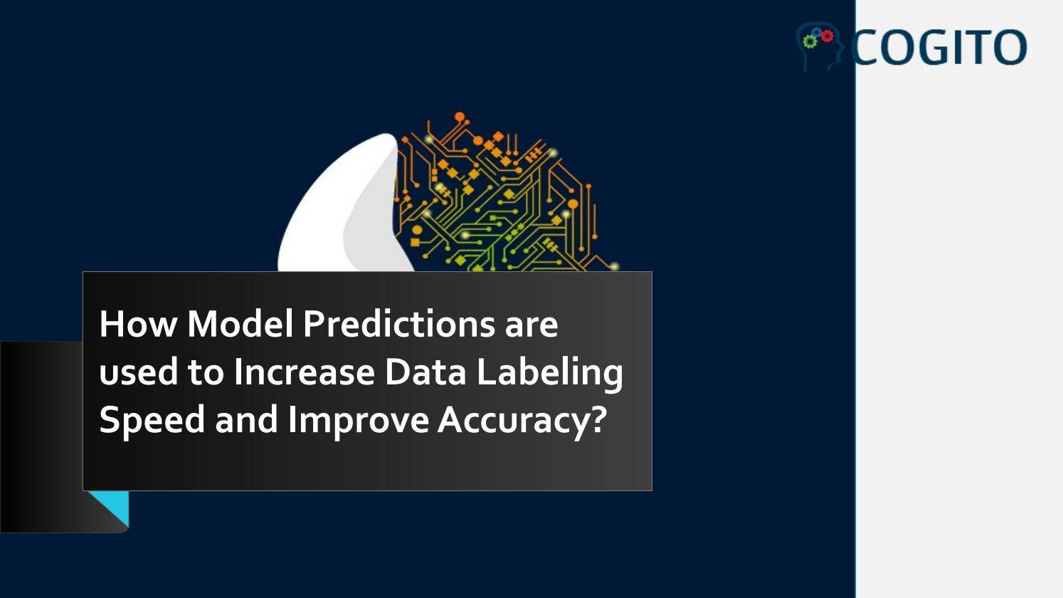 How Model Predictions are used to Increase Data Labeling Speed and ...