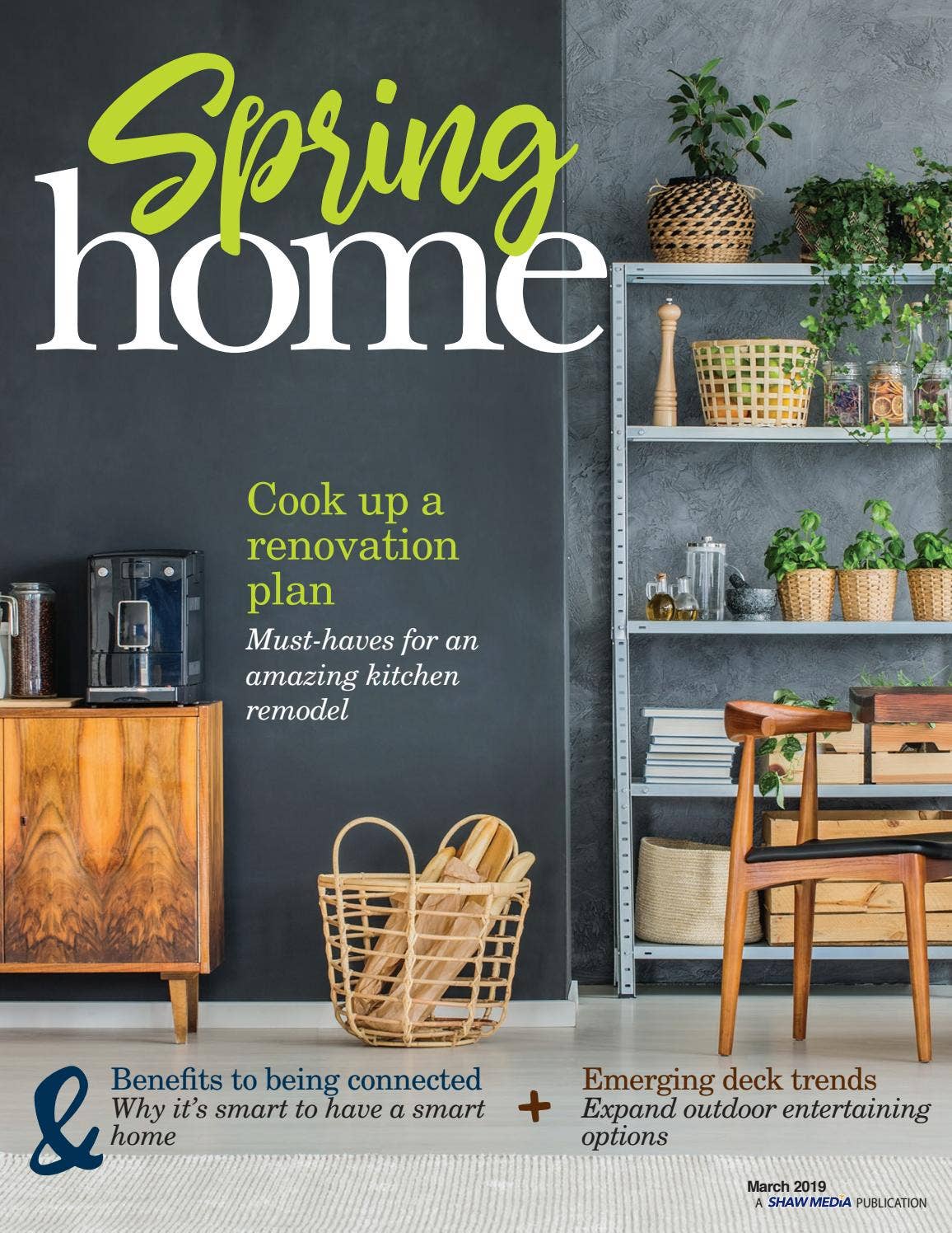 SVM_Spring Home Magazine_030719 by Shaw Media - Issuu