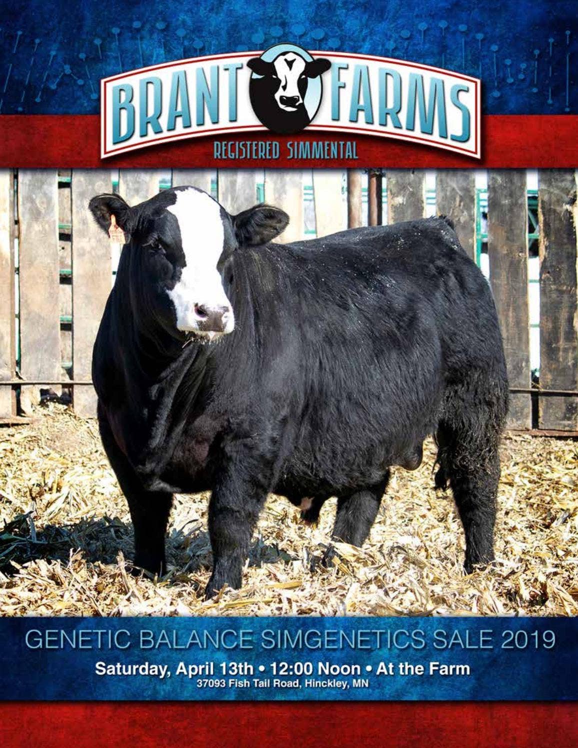 Brant Farms 2019 Genetic Balance Sale by Eberspacher Enterprises - Issuu