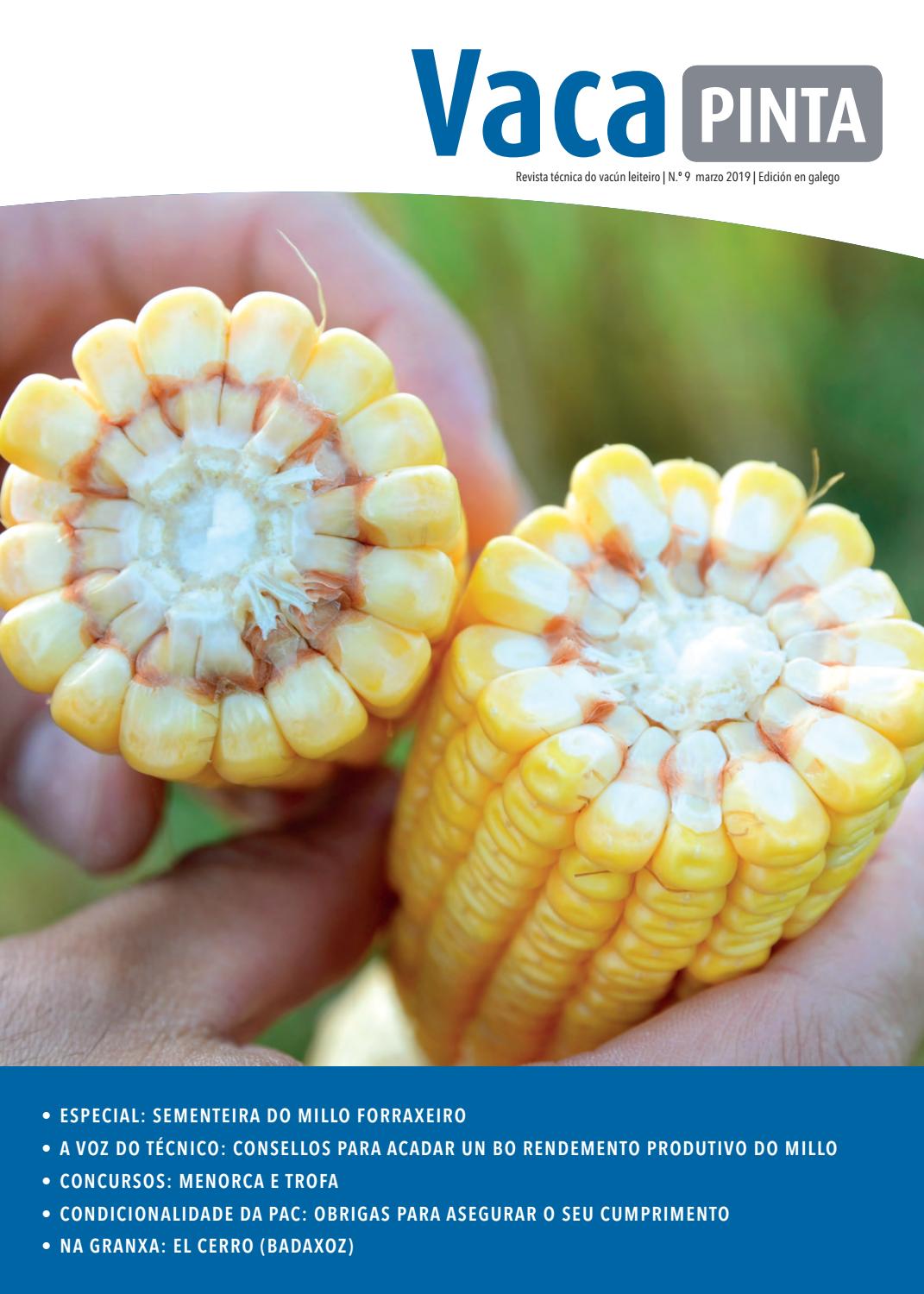 Vaca Pinta 9. Edición galego by TRANSMEDIA COMUNICACIÓN - Issuu
