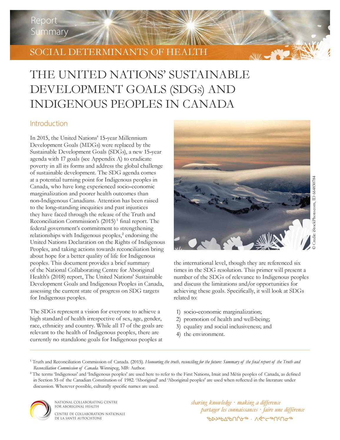 Report summary: The United Nations Sustainable Development Goals and ...