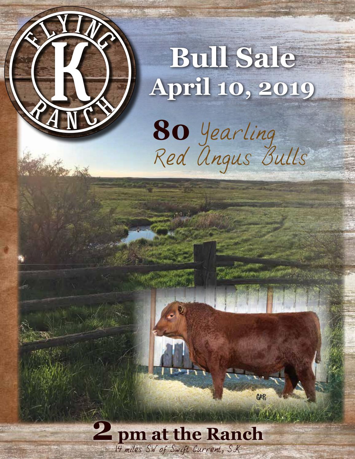 Flying K Ranch Red Angus Bull Sale by Livestock Media Plus - Issuu
