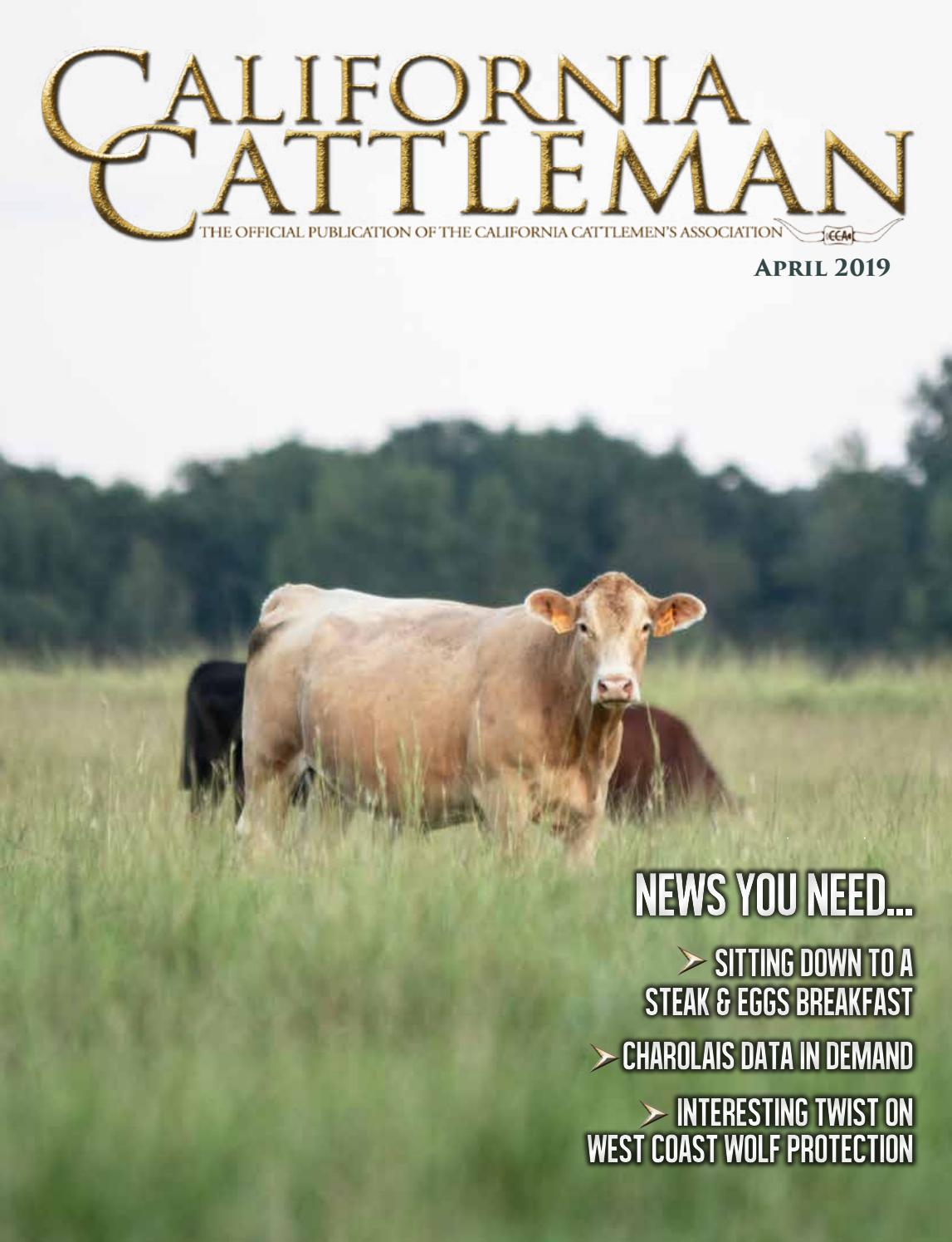 April 2019 California Cattleman magazine by California Cattleman - Issuu