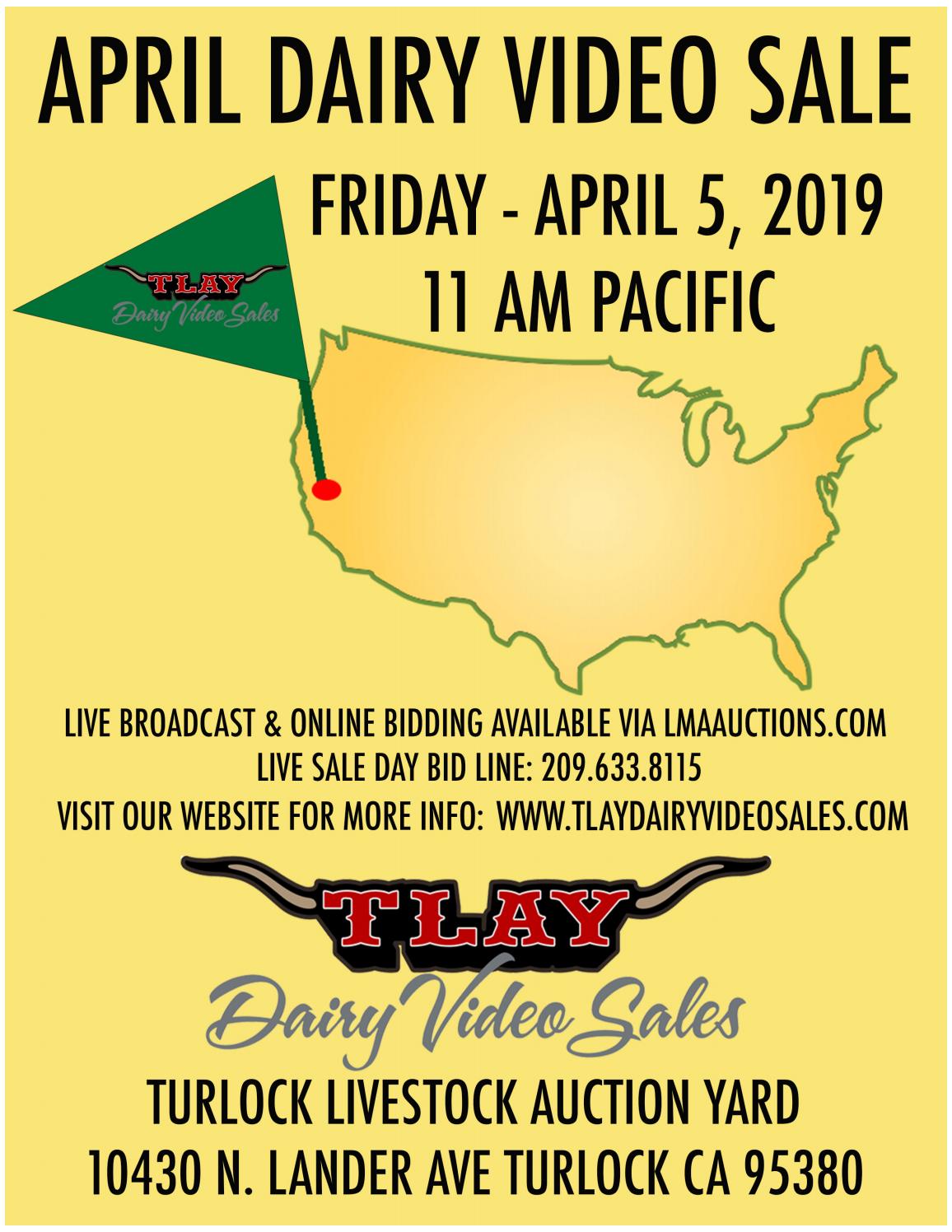 TLAY Dairy Video Sale April 2019 by TURLOCK LIVESTOCK AUCTION YARD - Issuu