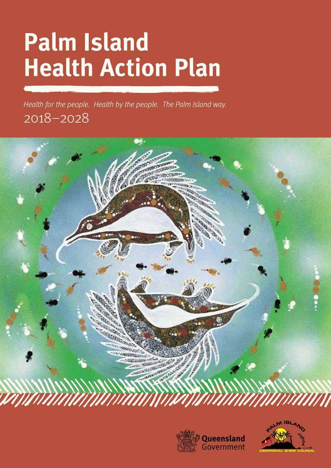 Palm Island Health Action Plan 2018 - 2028 by Townsville Hospital and ...