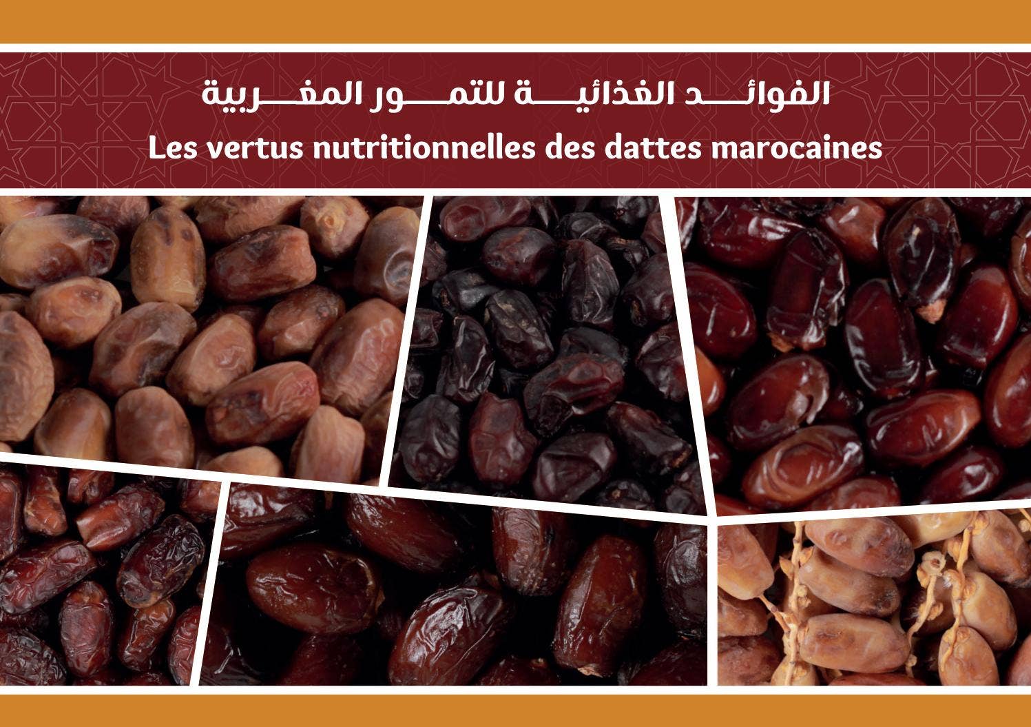 Les vertus nutritionnelles des dattes marocaines by Enabel au Maroc et ...