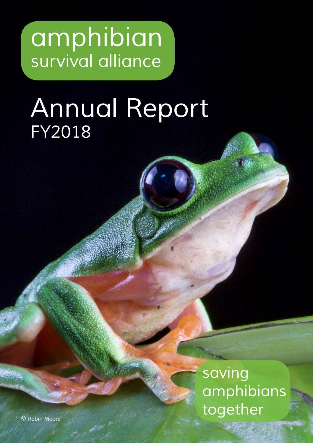 Amphibian Survival Alliance: Annual Report by Amphibian Survival ...