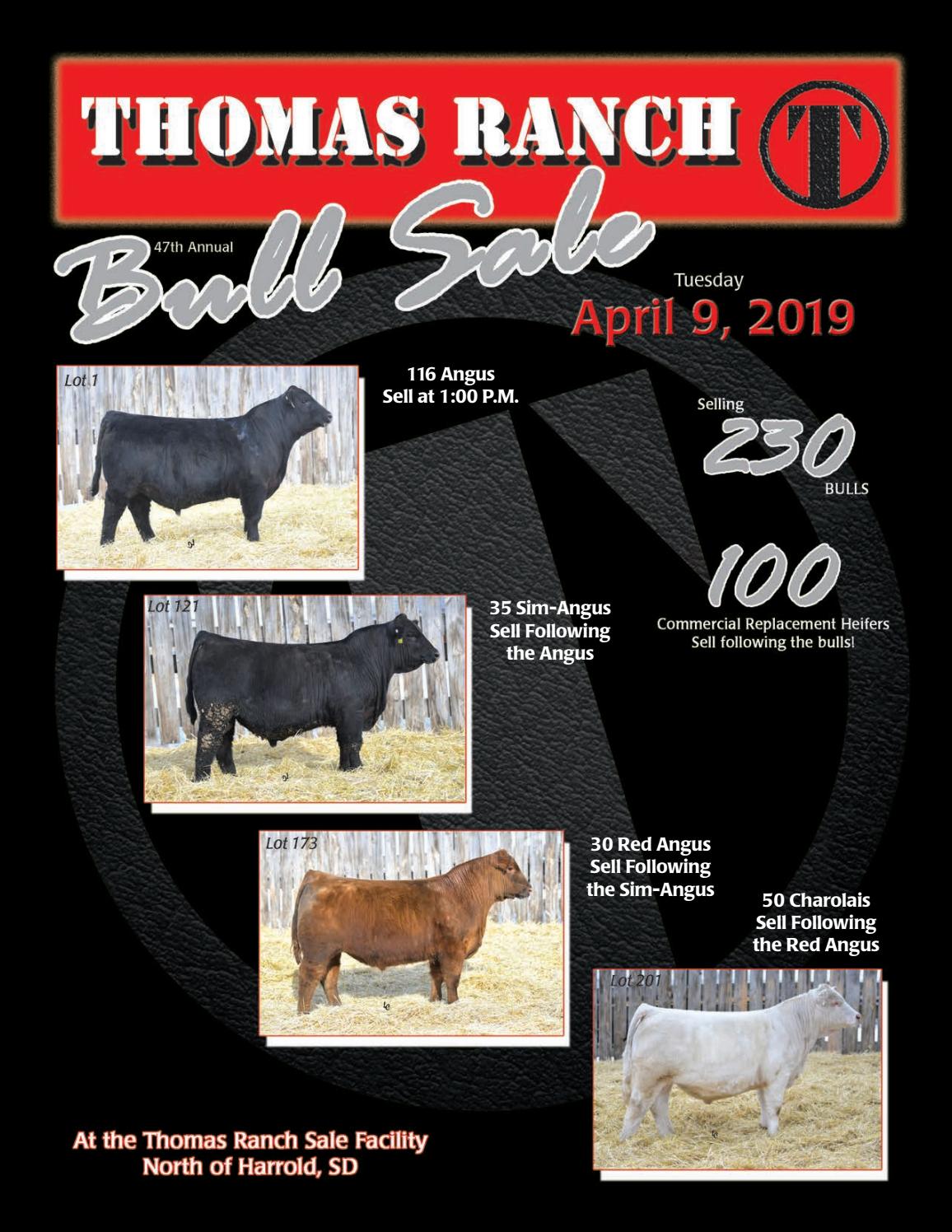 Thomas Ranch - 2019 Sale Catalog by LivestockDirect - Issuu
