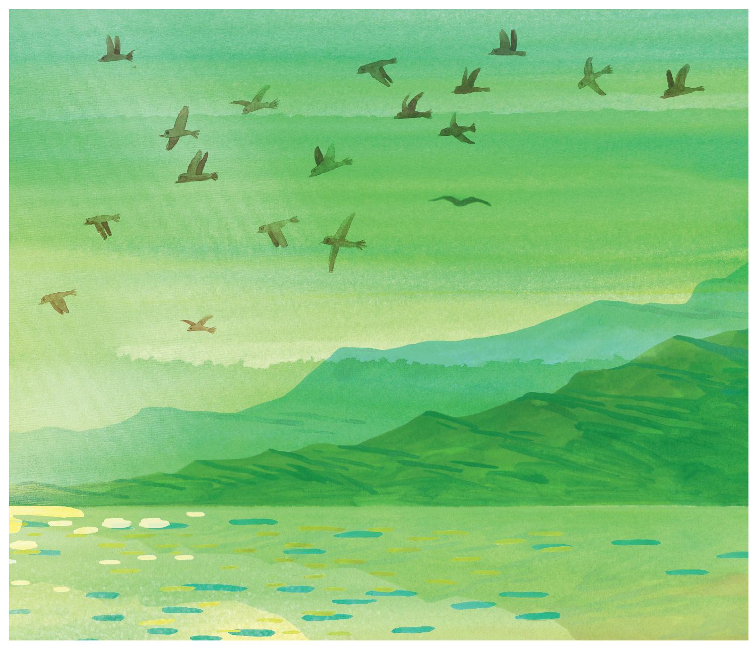 Where Are You From? by HarperCollins Children's Books - Issuu