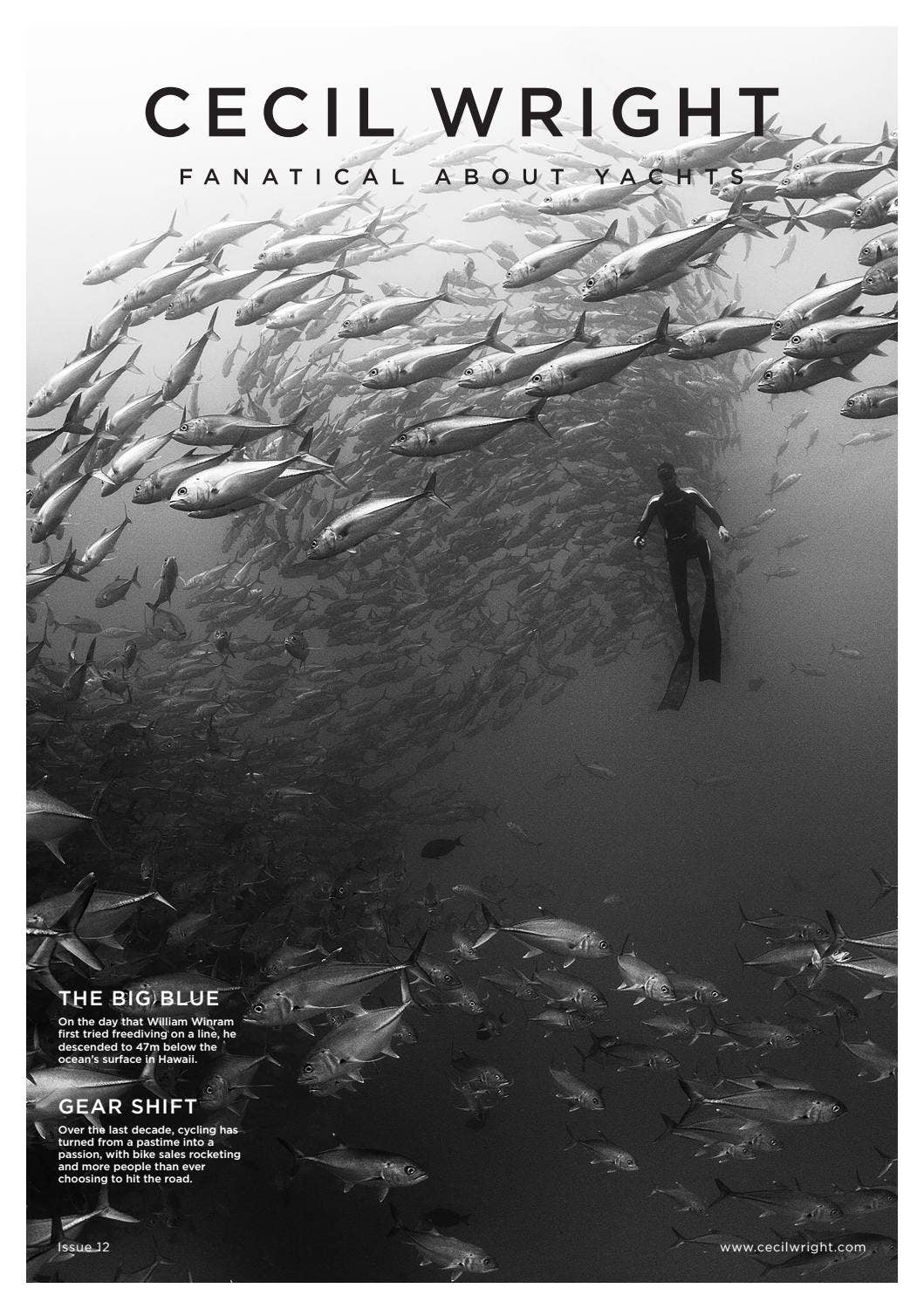 Cecil Wright Newsletter 12 by Strattons - Issuu