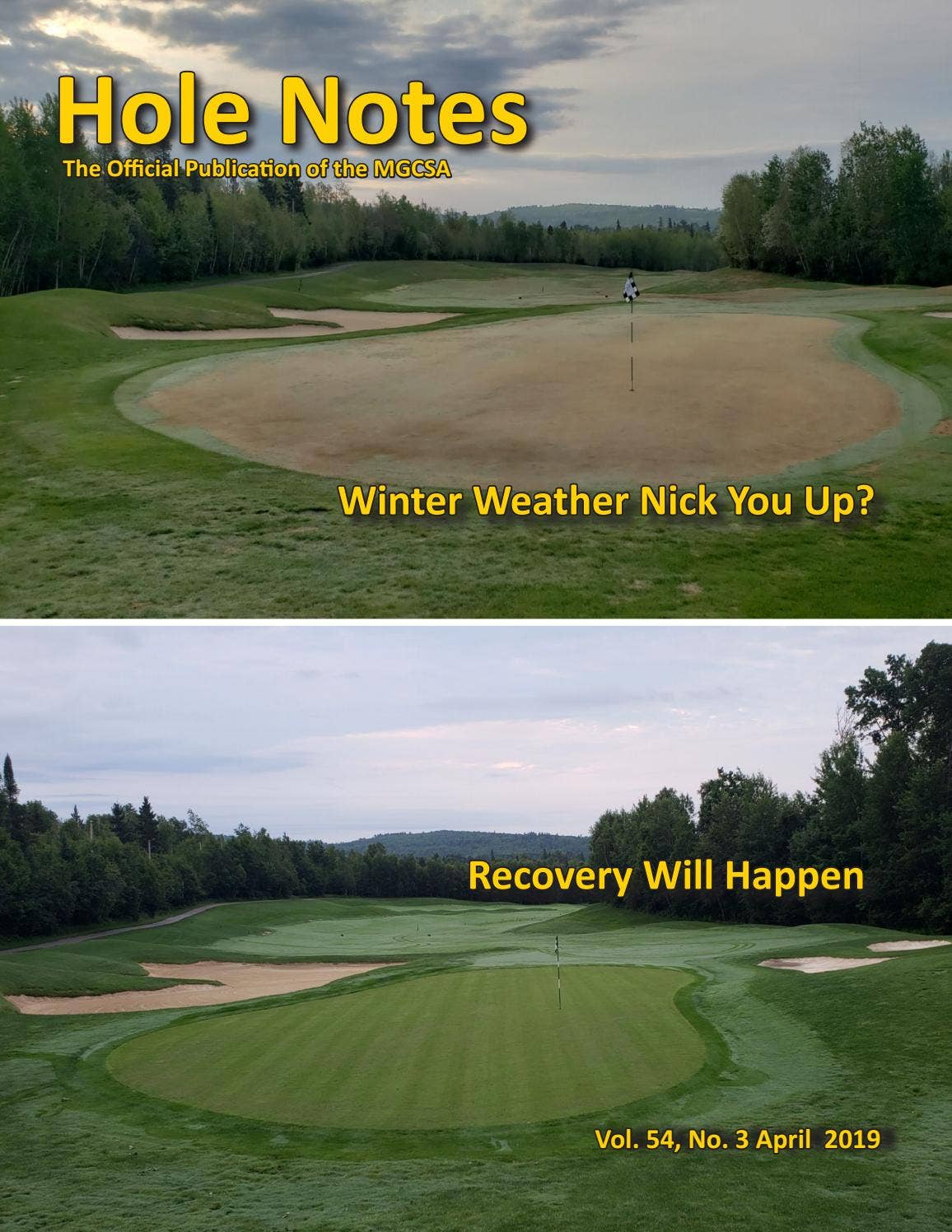 Hole Notes April 2019 by Minnesota Golf Course Superintendents ...