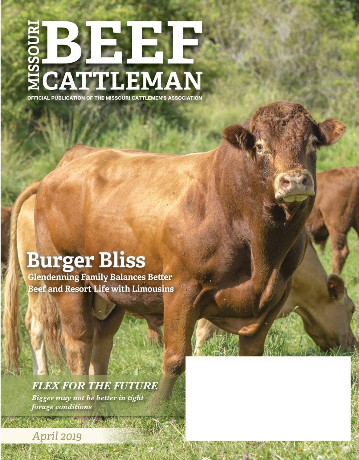 April 2019 - Missouri Beef Cattleman by Missouri Cattlemen's ...