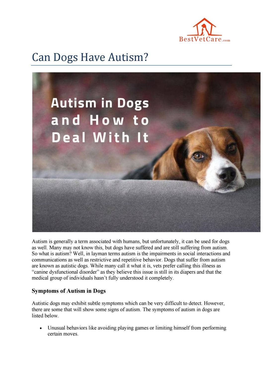 Can Dogs Have Autism? by BestVetCareus - Issuu