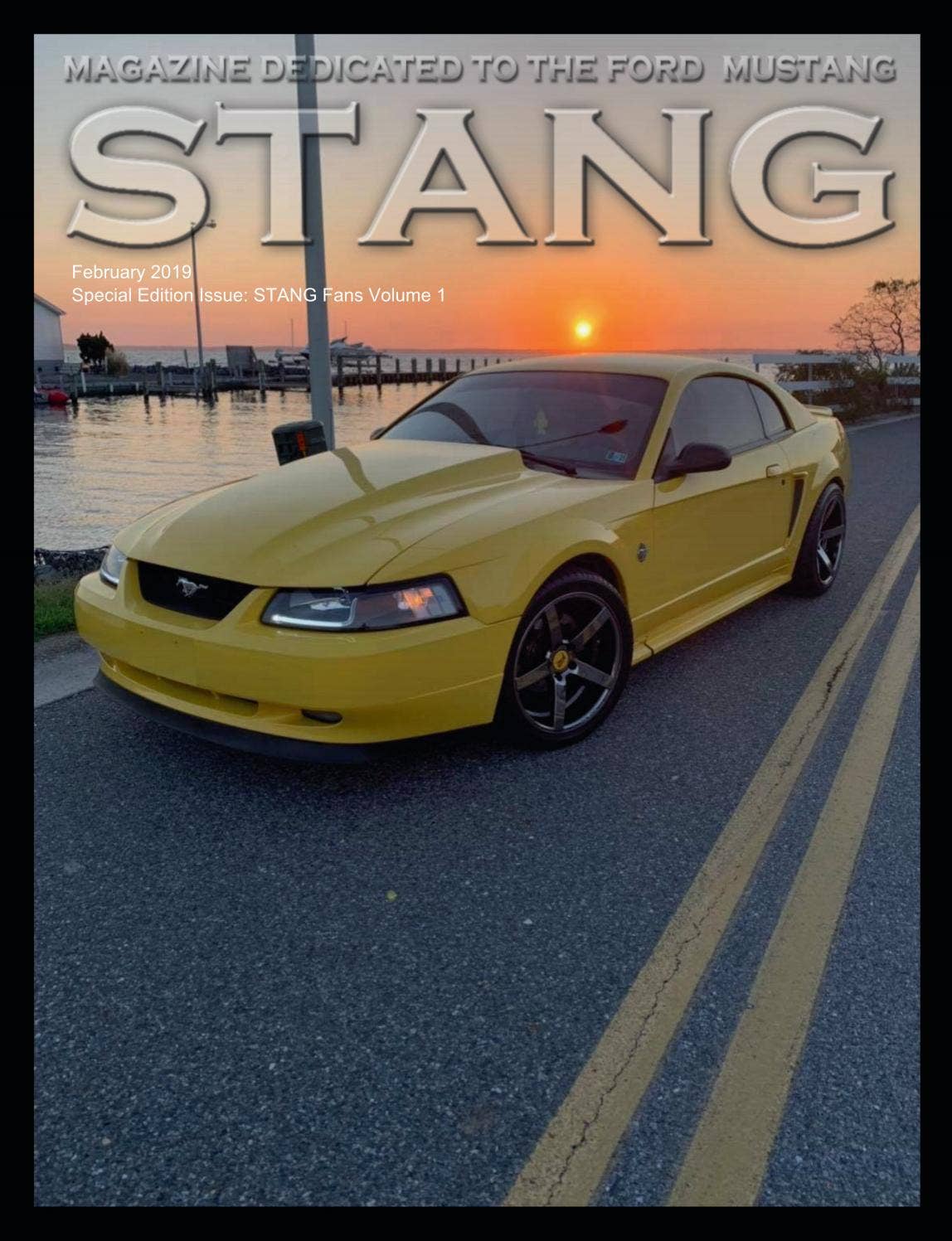 STANG Magazine Special Edition Issue: STANG Fans Volume 1 by STANG ...