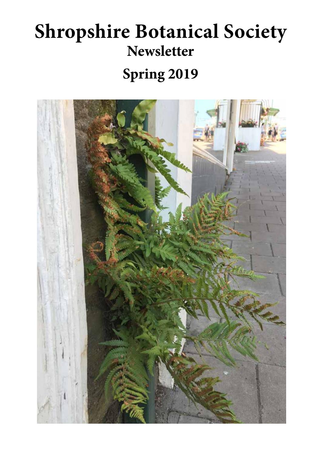 Shropshire Botanical Society Newsletter Spring 2019, No. 38 by ...