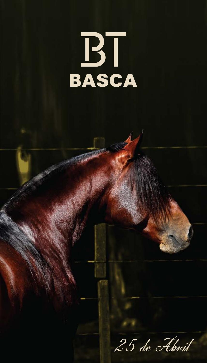 Catálogo Digital Basca 2019 by Daniel abreu - Issuu