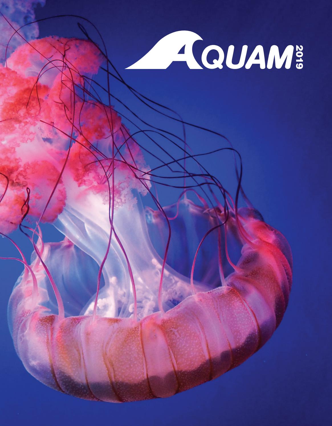 AQUAM - CATALOGUE - EN - 2019 by AQUAM - Issuu