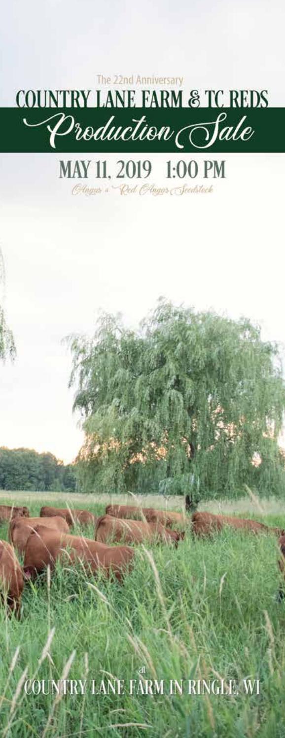 2019 Country Lane Farm and TC Reds Production Sale by Tracy McMurphy ...