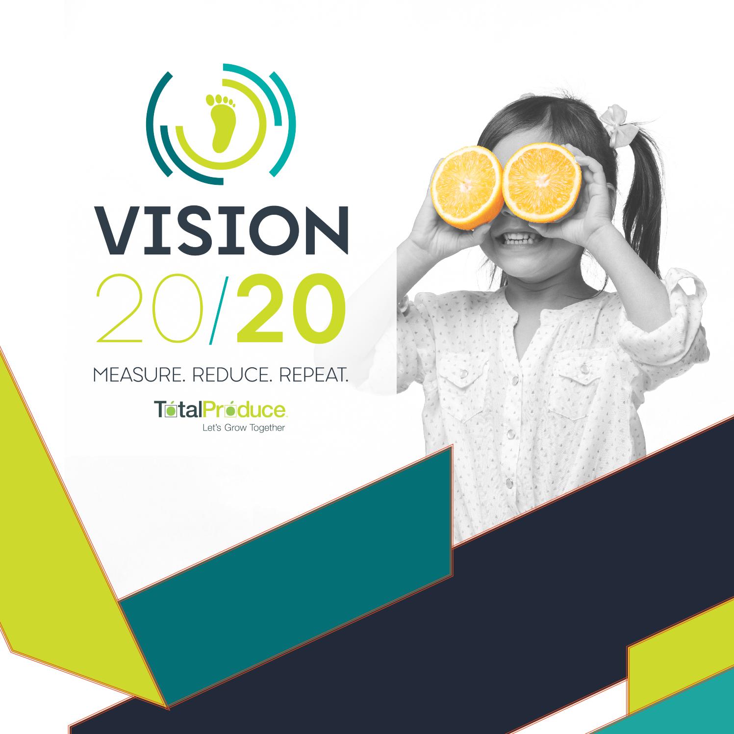 Vision 20/20 Brochure by Vincent Dolan - Issuu