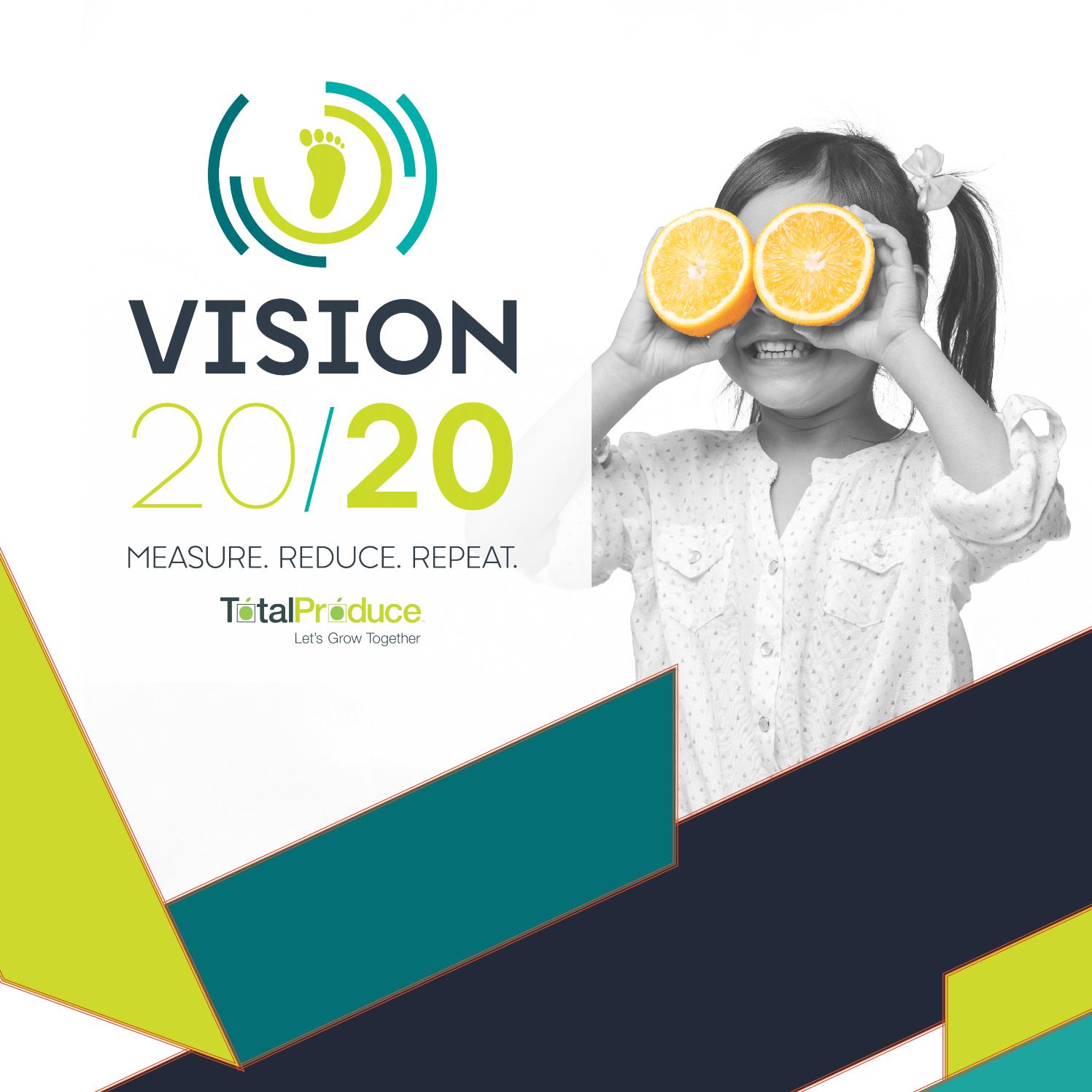 Vision 2020 Brochure by Vincent Dolan - Issuu