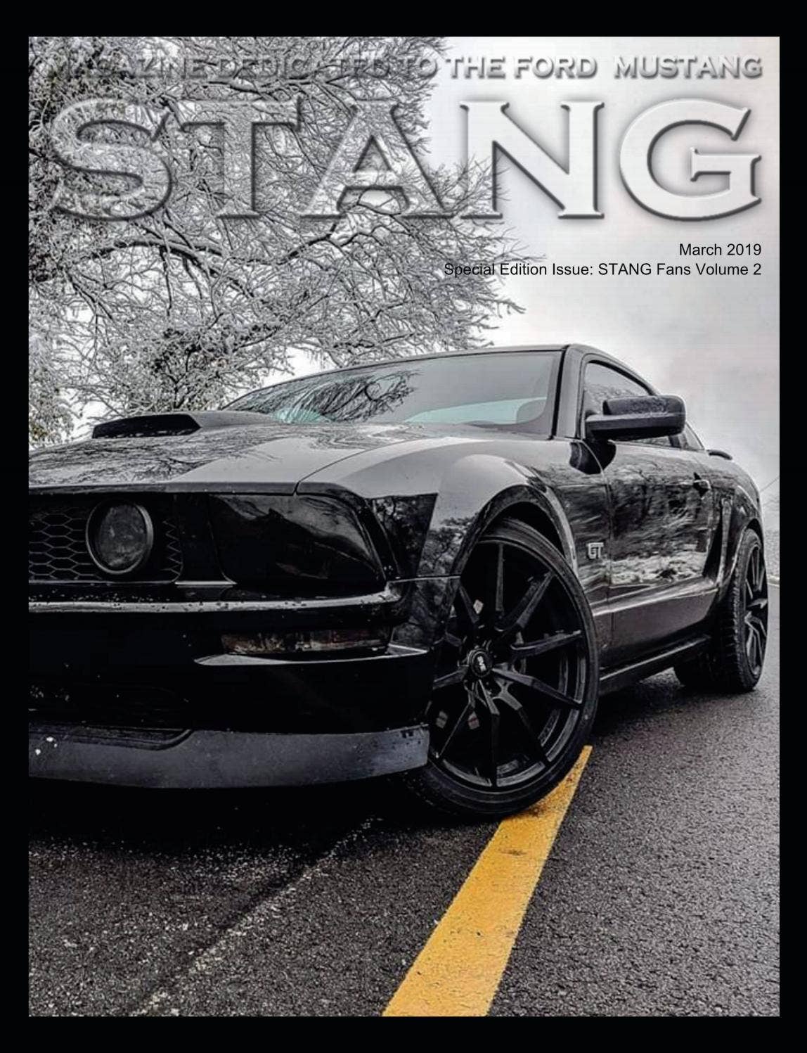 STANG Magazine Special Edition Issue: STANG Fans Volume 2 by STANG ...