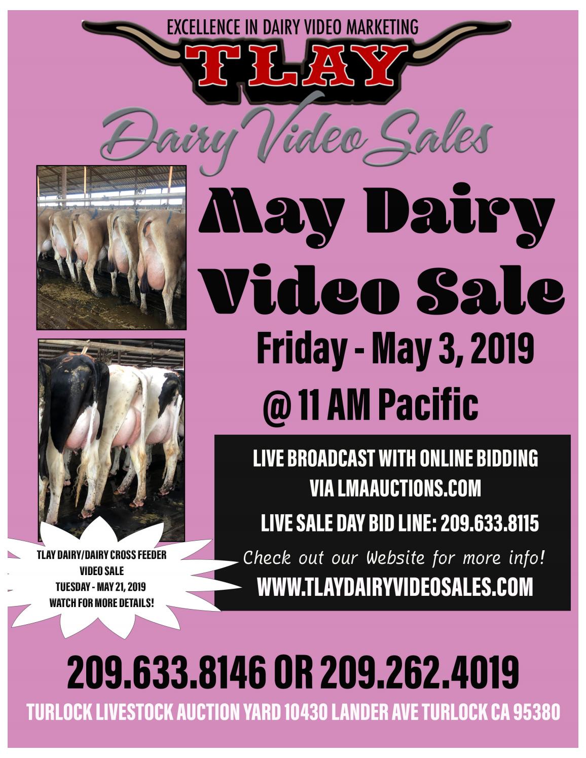 TLAY MAY 2019 DVS CATALOG by TURLOCK LIVESTOCK AUCTION YARD - Issuu